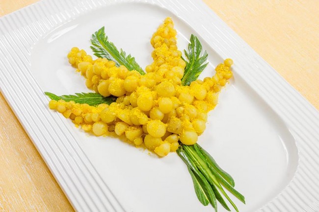 Mimoza, lulja e “lumturisë kolektive” mund të shërojë dhe disa sëmundje ...