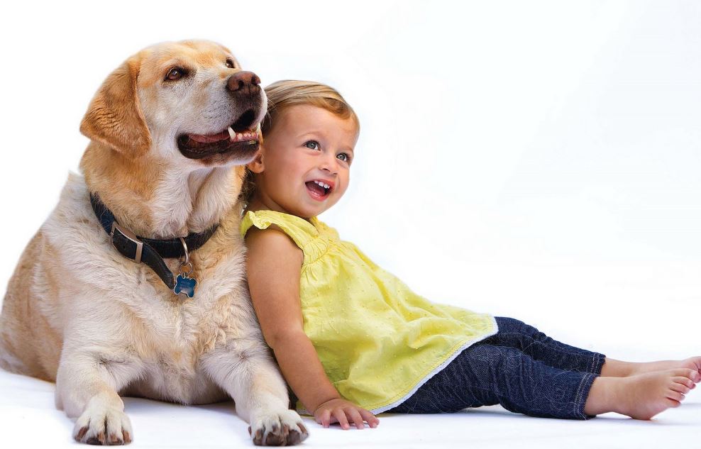 Presim fëmijë, mund të mbajmë qen ose mace në shtëpi? – GAZETA SHËNDETI