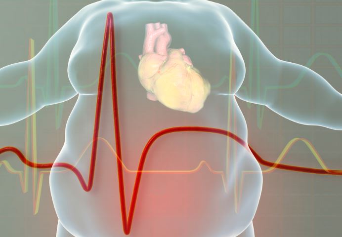 Diabeti dhe mbipesha, mjekja: Barnat pa rekomandim japin efekte ...